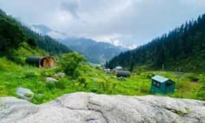 Gabin Jabba: Swat Valley’s Hidden Gem of Honey Marshes - hamariworld.com